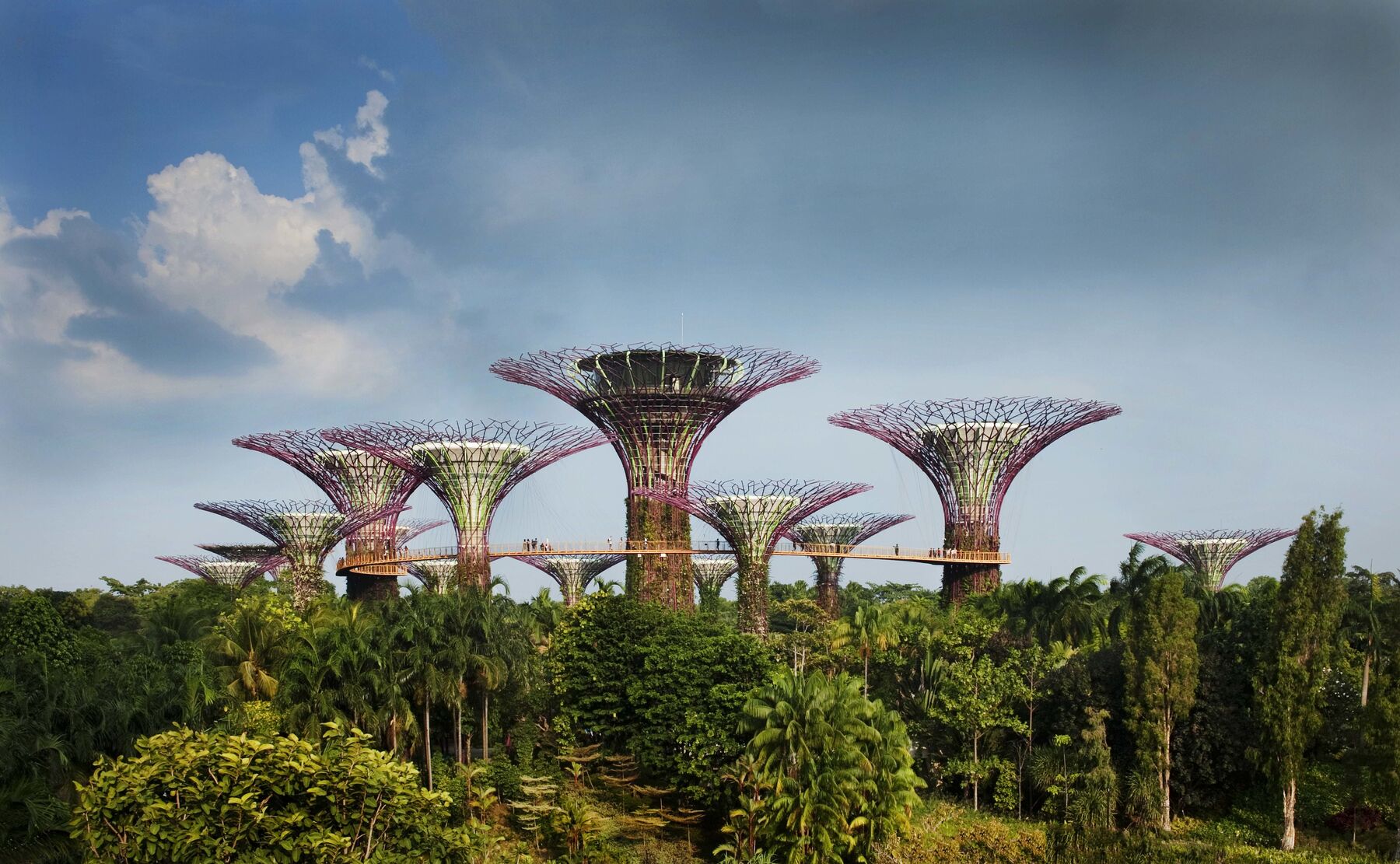 Supertrees, Gardens by the Bay | Grant Associates