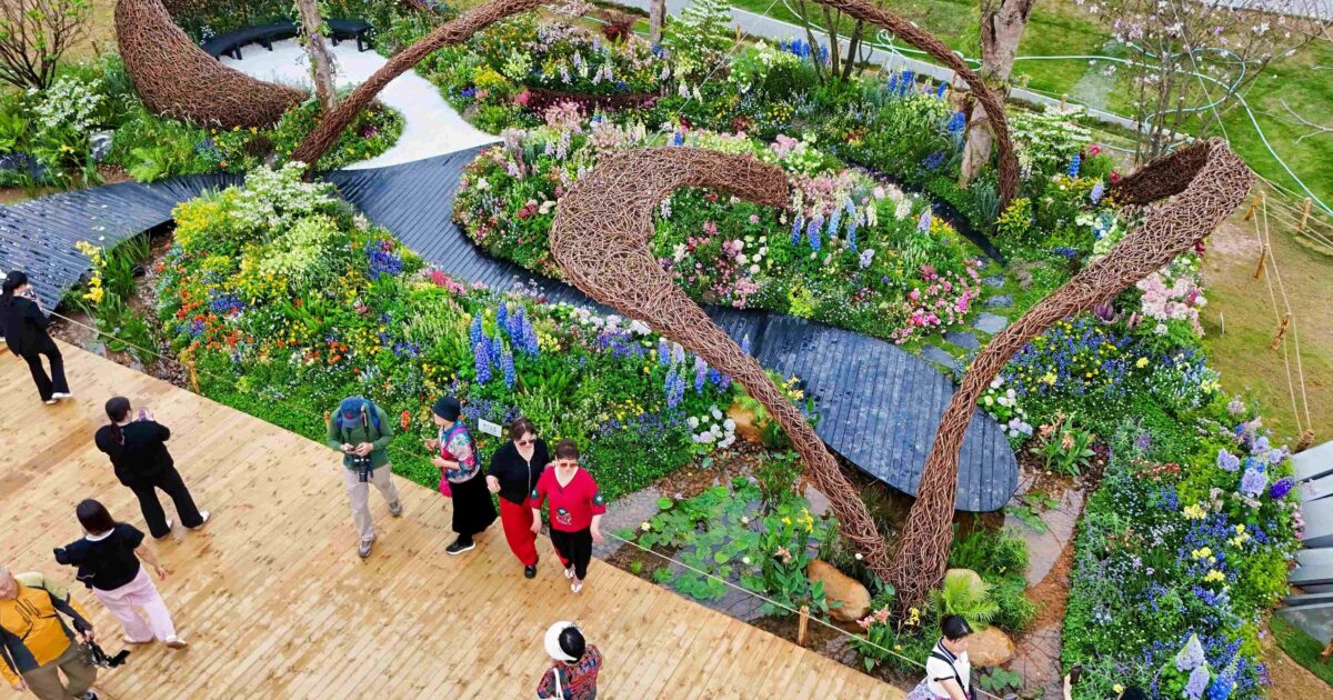 Two award successes | Grant Associates