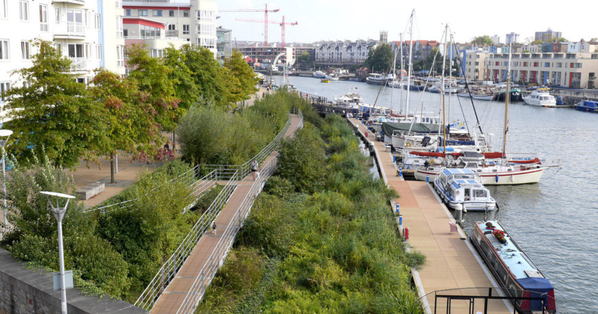 City nature: creating space for nature in cities | Grant Associates