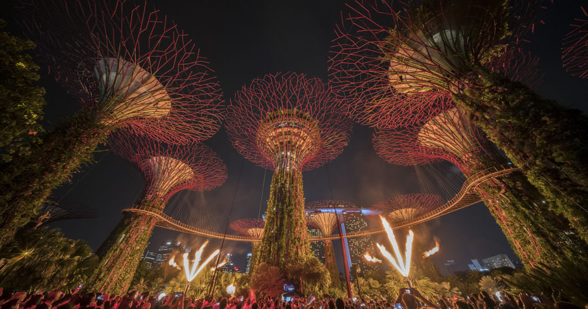 Supertrees feature in global expo about urban… | Grant Associates